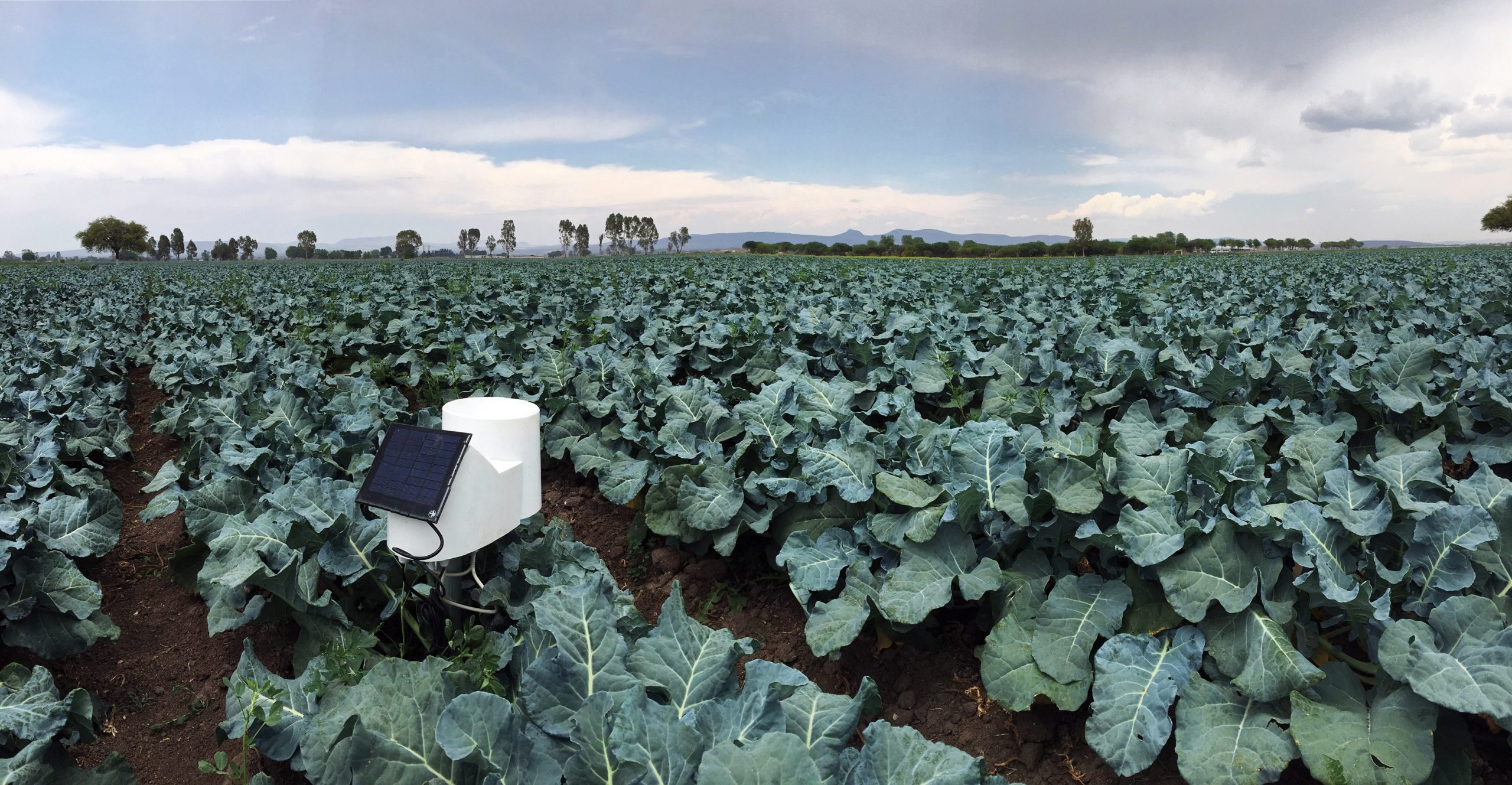 Demand for remote field monitoring grows due to Coronavirus outbreak ...